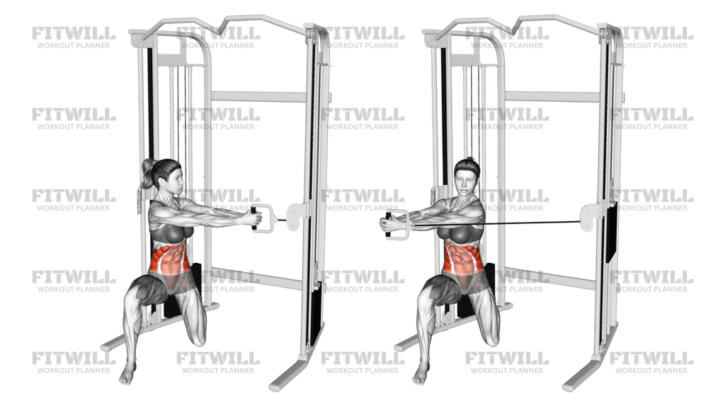 How to do Cable Kneeling Twist: Techniques, Benefits, Tips & Tricks ...