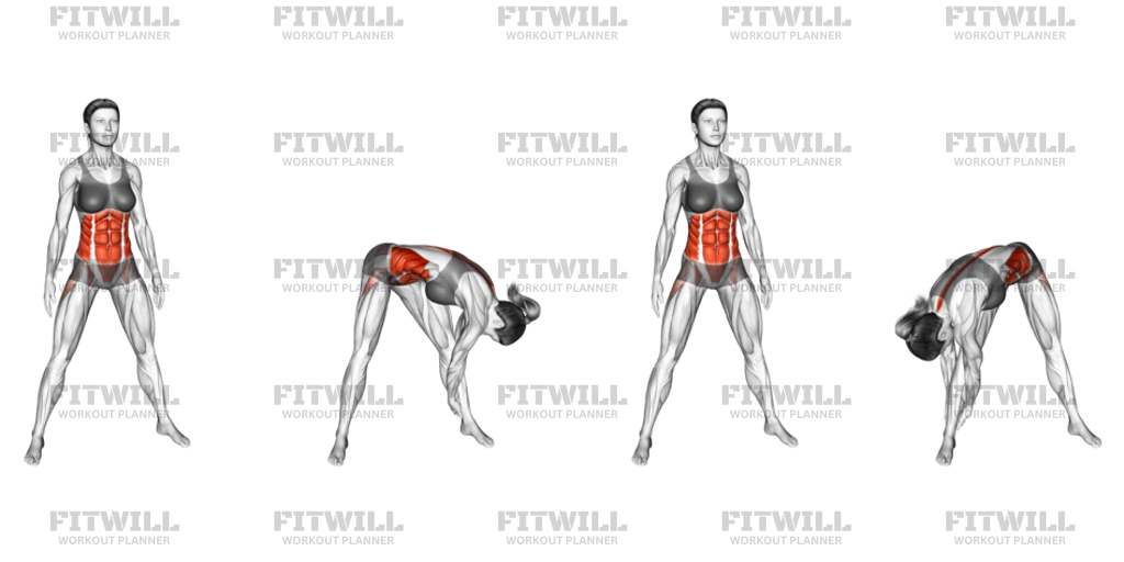 Sostén De Flexión Diagonal: Guía de Ejercicios, Video, Técnicas ...