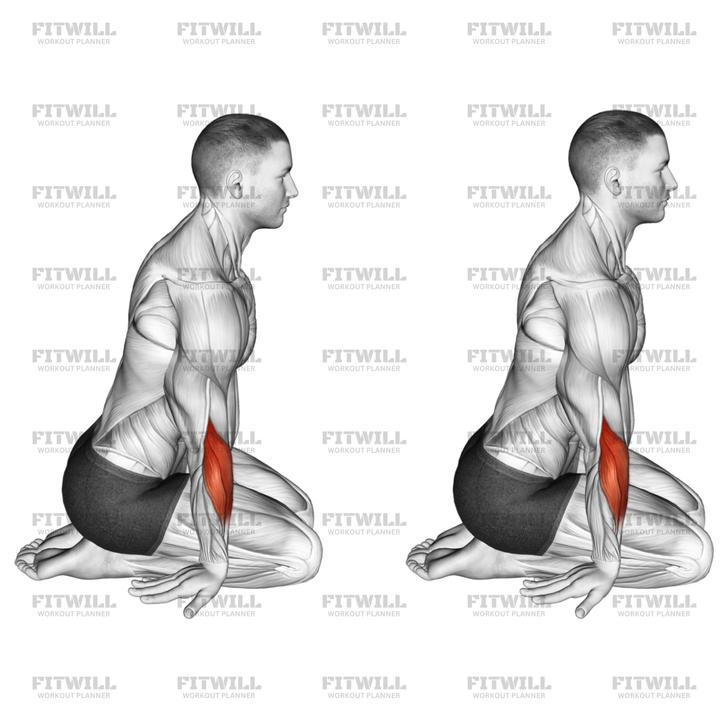 Seated Forearms Stretch: Exercise Guide, Video, Techniques, Benefits ...