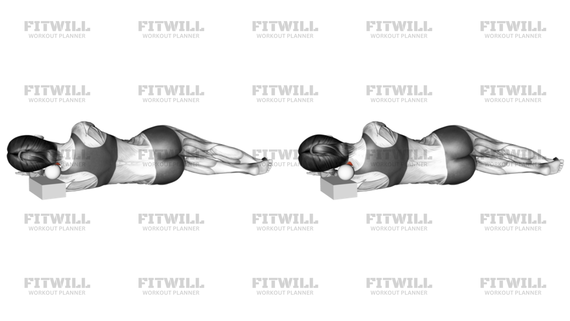Roll Ball Side Lying Scalene Muscles Activation: Exercise Guide, Video ...
