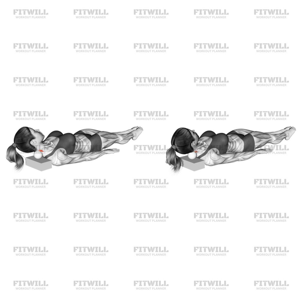 Roll Ball Lying Semisplinalis Capitis Muscle Activation: Exercise Guide ...
