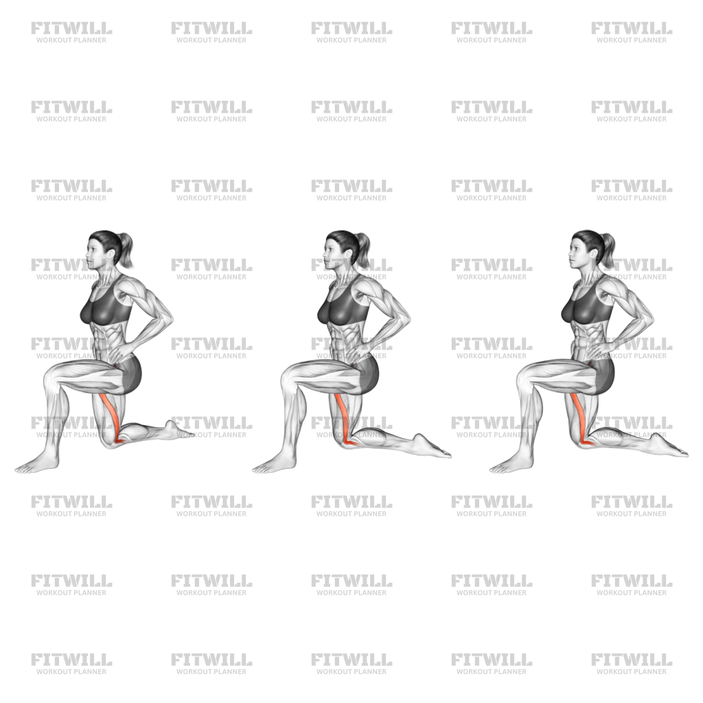 Kneeling Sartorius Stretch: Exercise Guide, Video, Techniques, Benefits ...