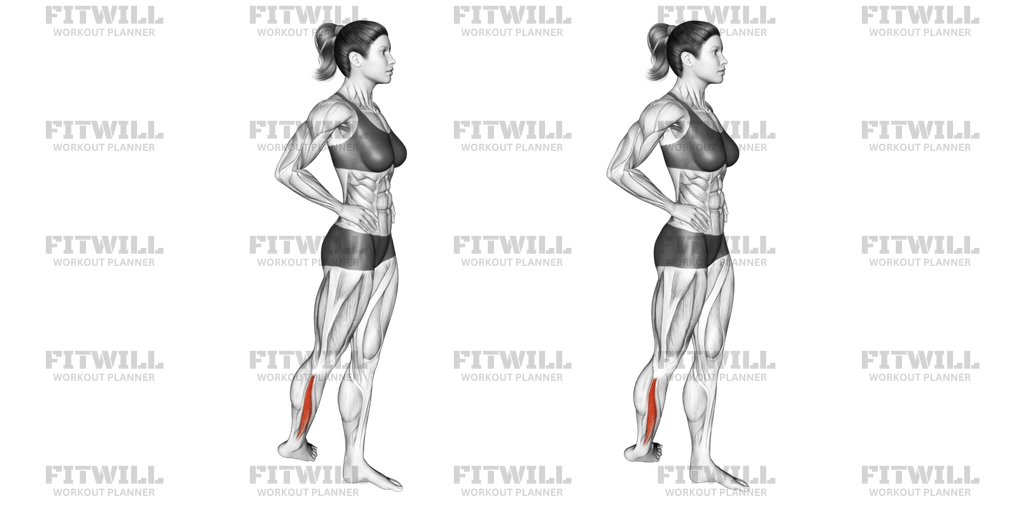 Standing Peroneus Muscles Stretch: Exercise Guide, Video, Techniques ...
