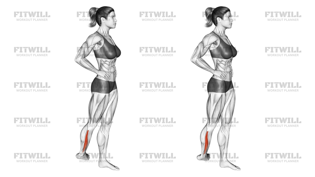 Standing Peroneus Muscles Stretch: Exercise Guide, Video, Techniques ...