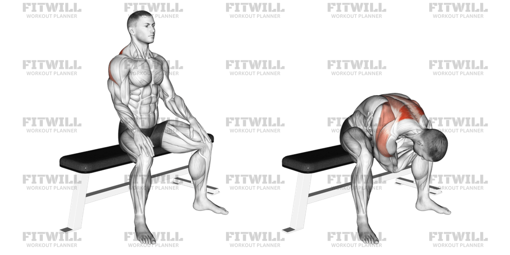 Seated Rhomboid Stretch: Exercise Guide, Video, Techniques, Benefits ...