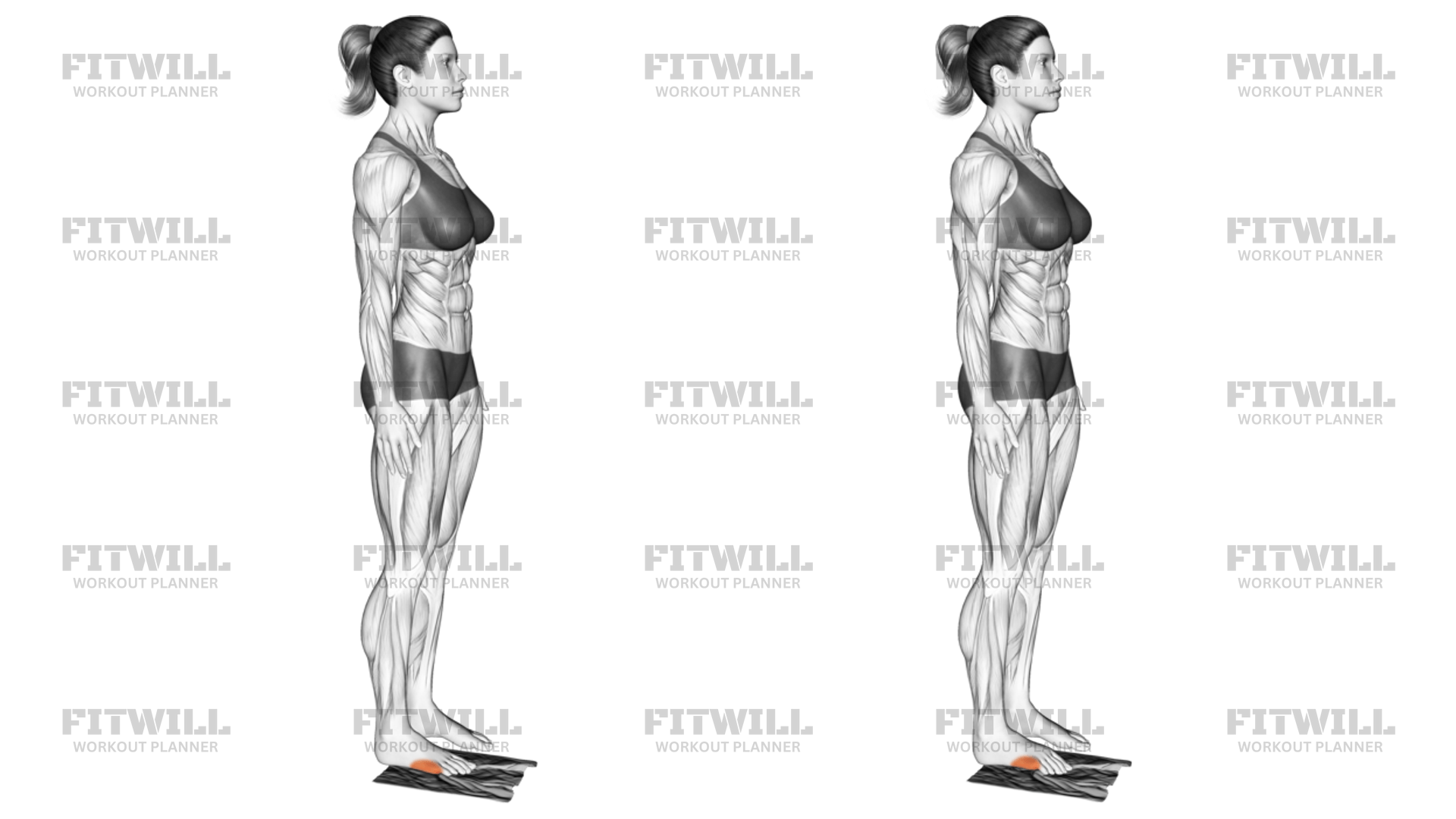 Standing Foot Muscles Activation: Exercise Guide, Video, Techniques ...