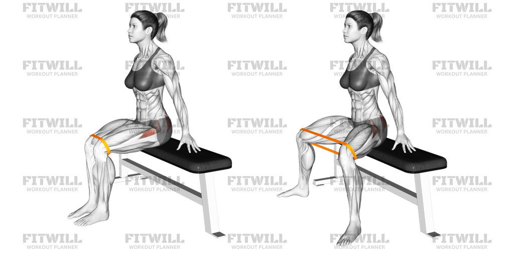 Resistance Band Seated Hip Abduction Version 2: Exercise Guide, Video ...