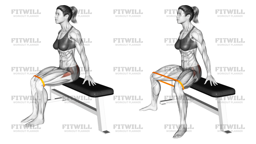 Resistance Band Seated Hip Abduction (VERSION 2): Exercise Guide, Video ...
