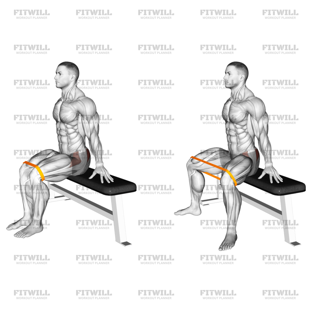Resistance Band Seated Hip Abduction (VERSION 2): Exercise Guide, Video ...