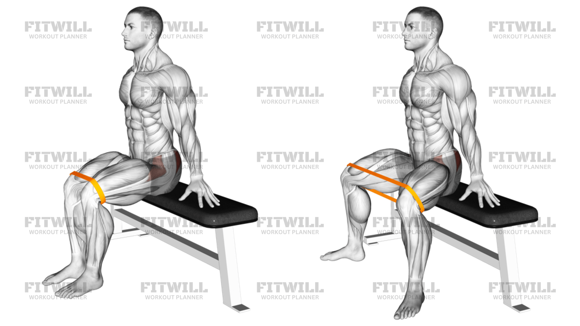 Resistance Band Seated Hip Abduction (VERSION 2): Exercise Guide, Video ...