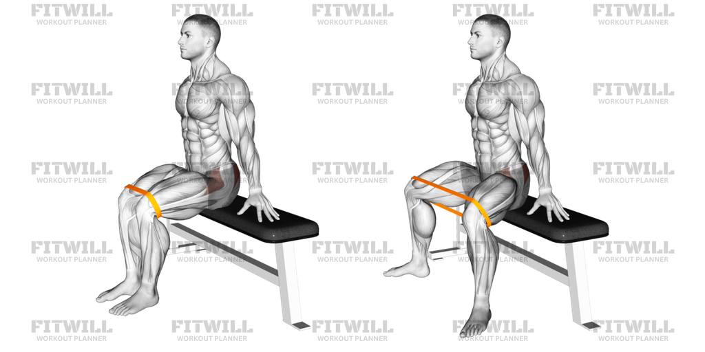 Abducción De Cadera Sentado Con Banda De Resistencia (VERSIÓN 2): Guía ...