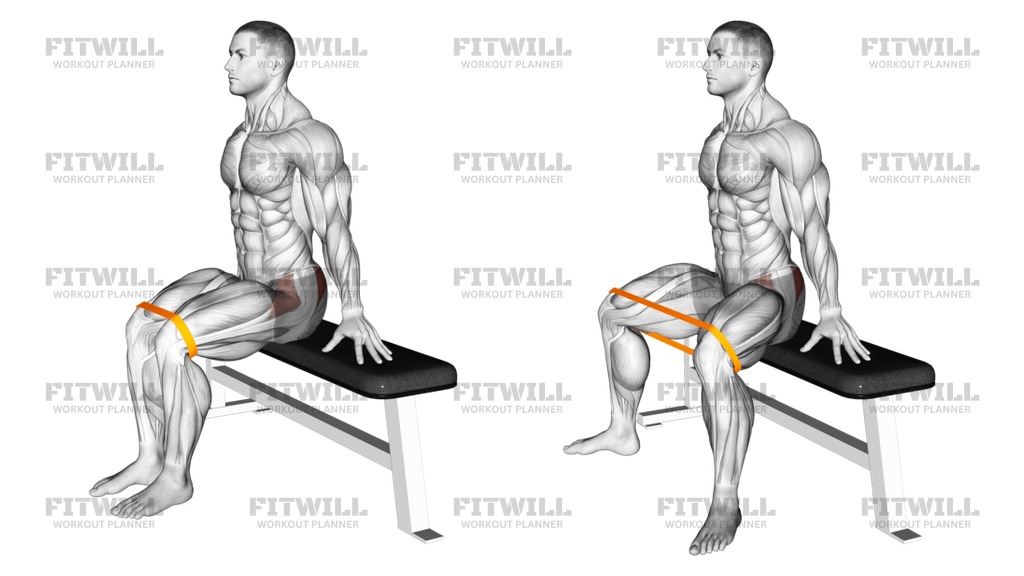Resistance Band Seated Hip Abduction (VERSION 2): Exercise Guide, Video ...
