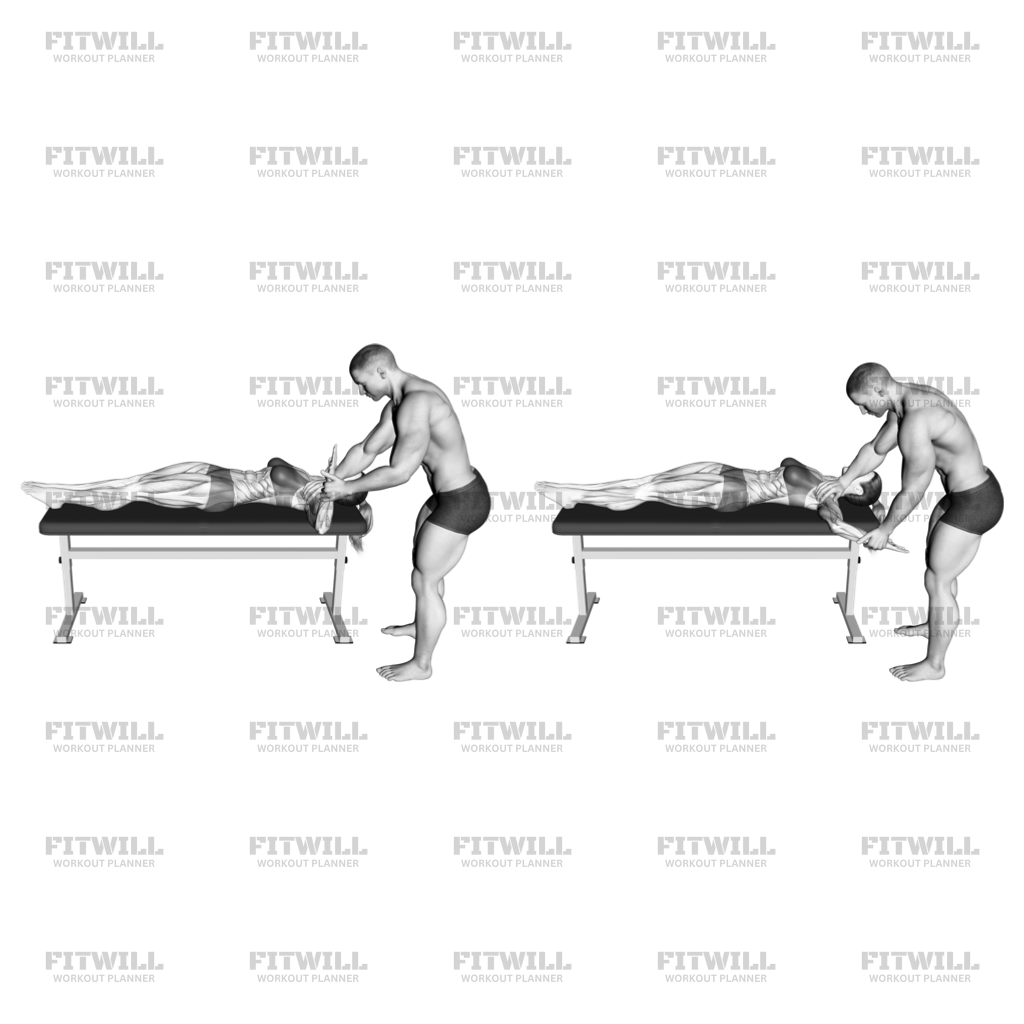 Prueba De Rotación Externa Del Hombro: Guía de Ejercicios, Técnicas ...