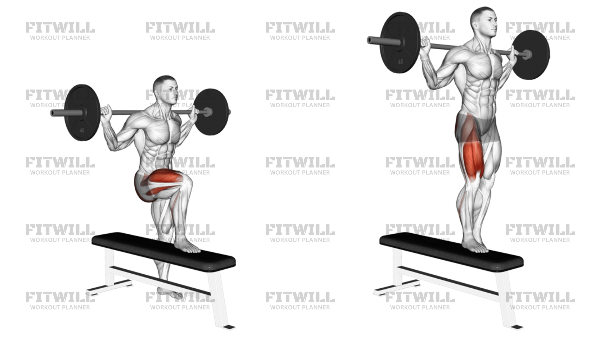 Barbell Bench Lateral Step-up: Exercise Guide, Video, Techniques ...
