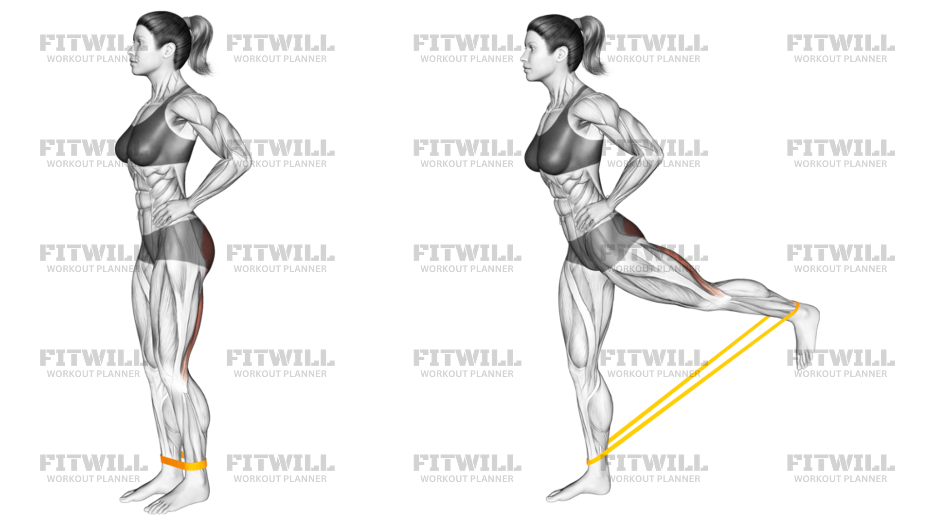 Resistance Band Standing Balance Glute Kickback: Exercise Video | Fitwill