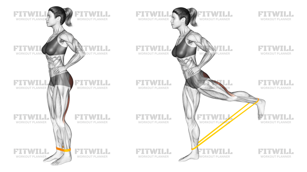 Resistance Band Standing Balance Glute Kickback: Exercise Video | Fitwill