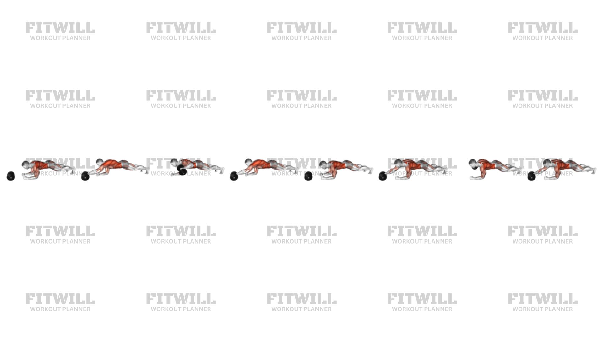 Plank Alternate Anti Gravity Pull Up: Exercise Guide, Video, Techniques ...