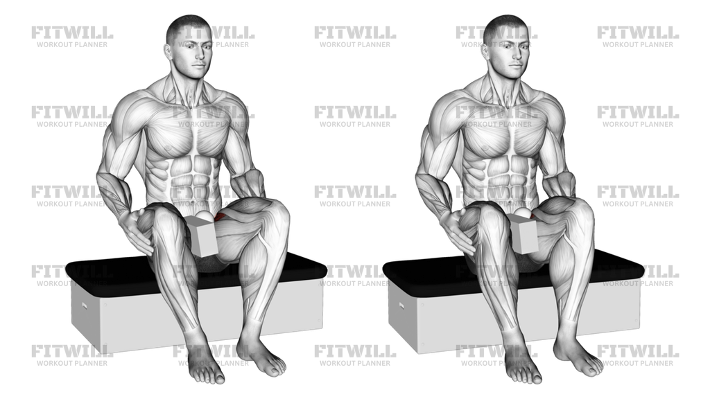 Roll Ball Seated Pectineus Activation: Exercise Guide, Video ...
