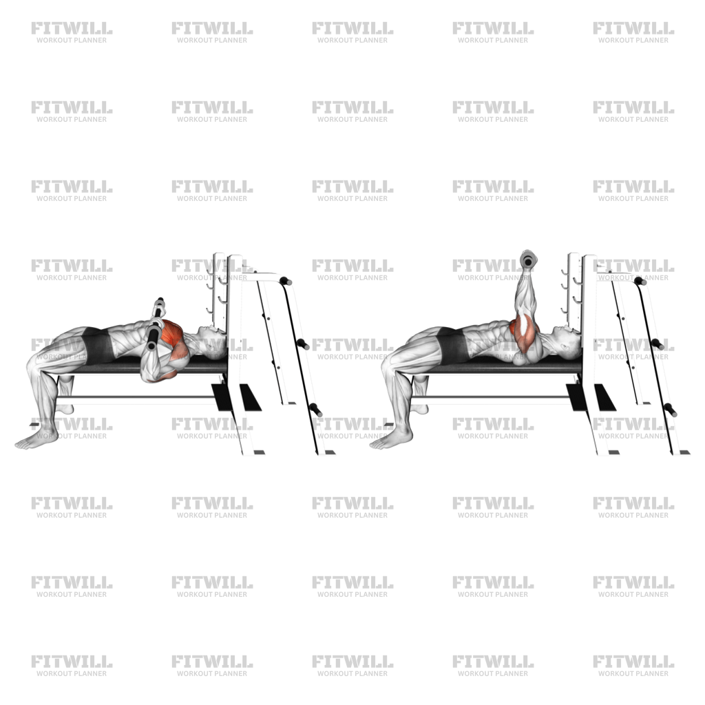 Barbell Bench Press (side POV): Exercise Guide, Techniques, Benefits ...