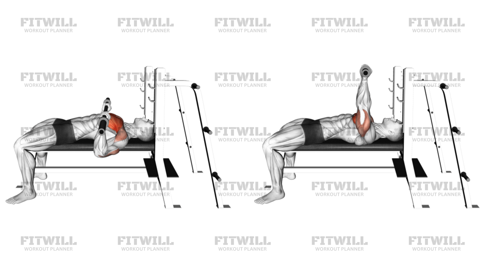 Barbell Bench Press (side POV): Exercise Guide, Techniques, Benefits ...