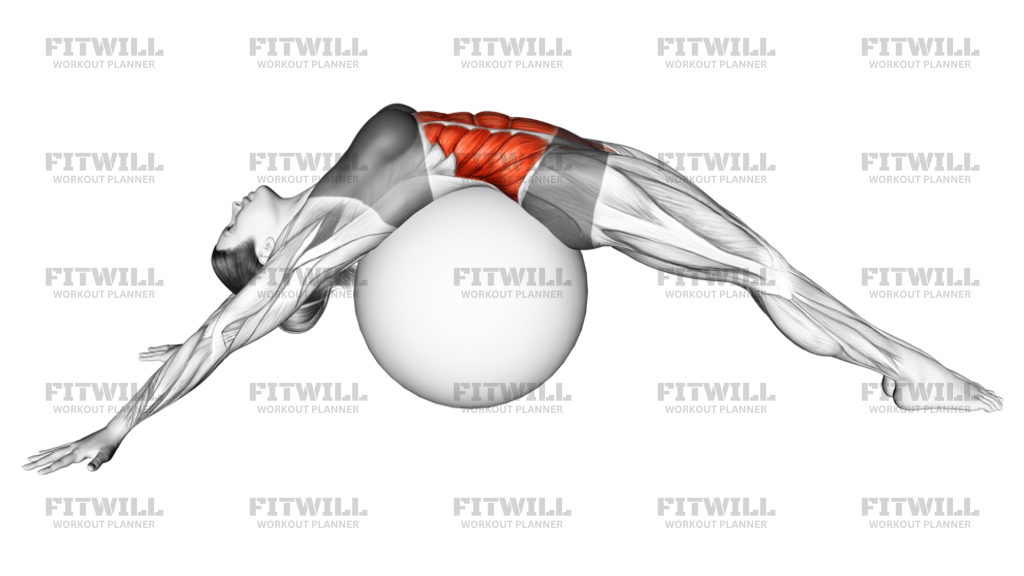 Back Stretch On Stability Ball: Exercise Guide, Techniques, Benefits ...