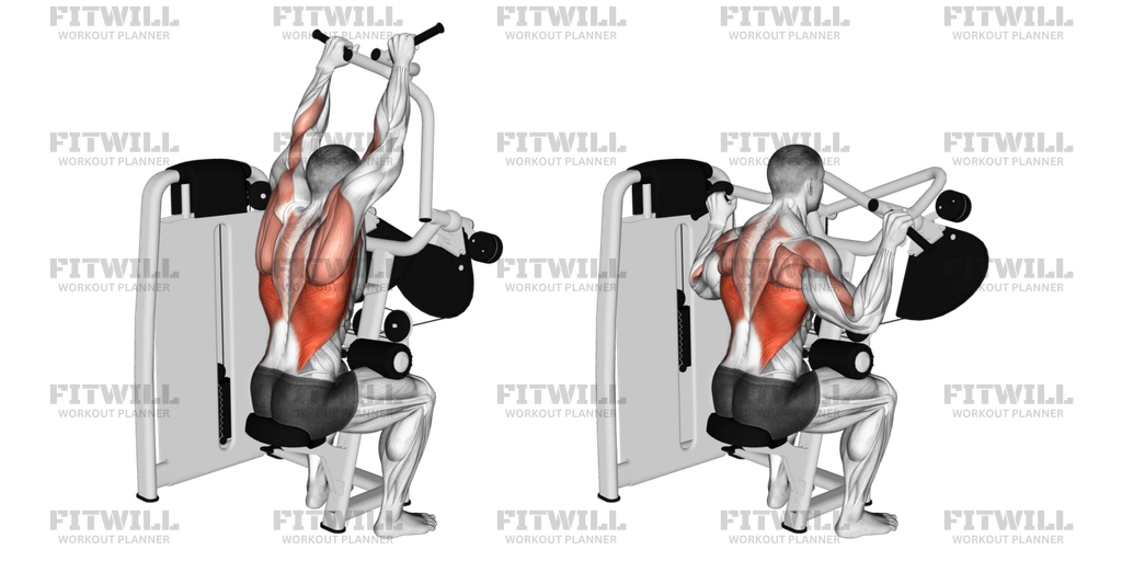 Machine-Based Back Workout for Muscle Growth | Lever Lat Pulldown & Row ...