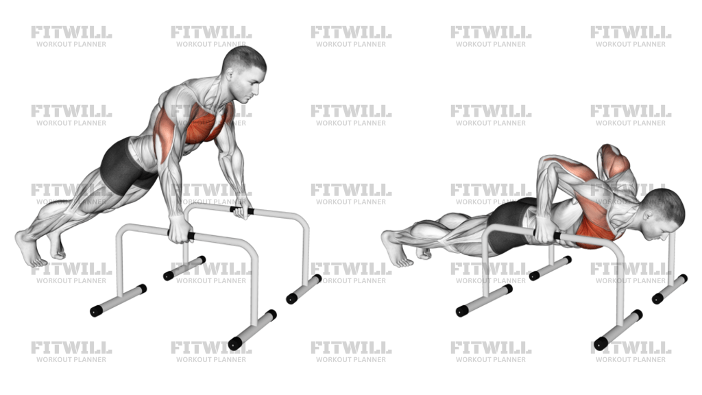 How to do Deep Push-up on Parallel Bars: Techniques, Benefits, Tips ...