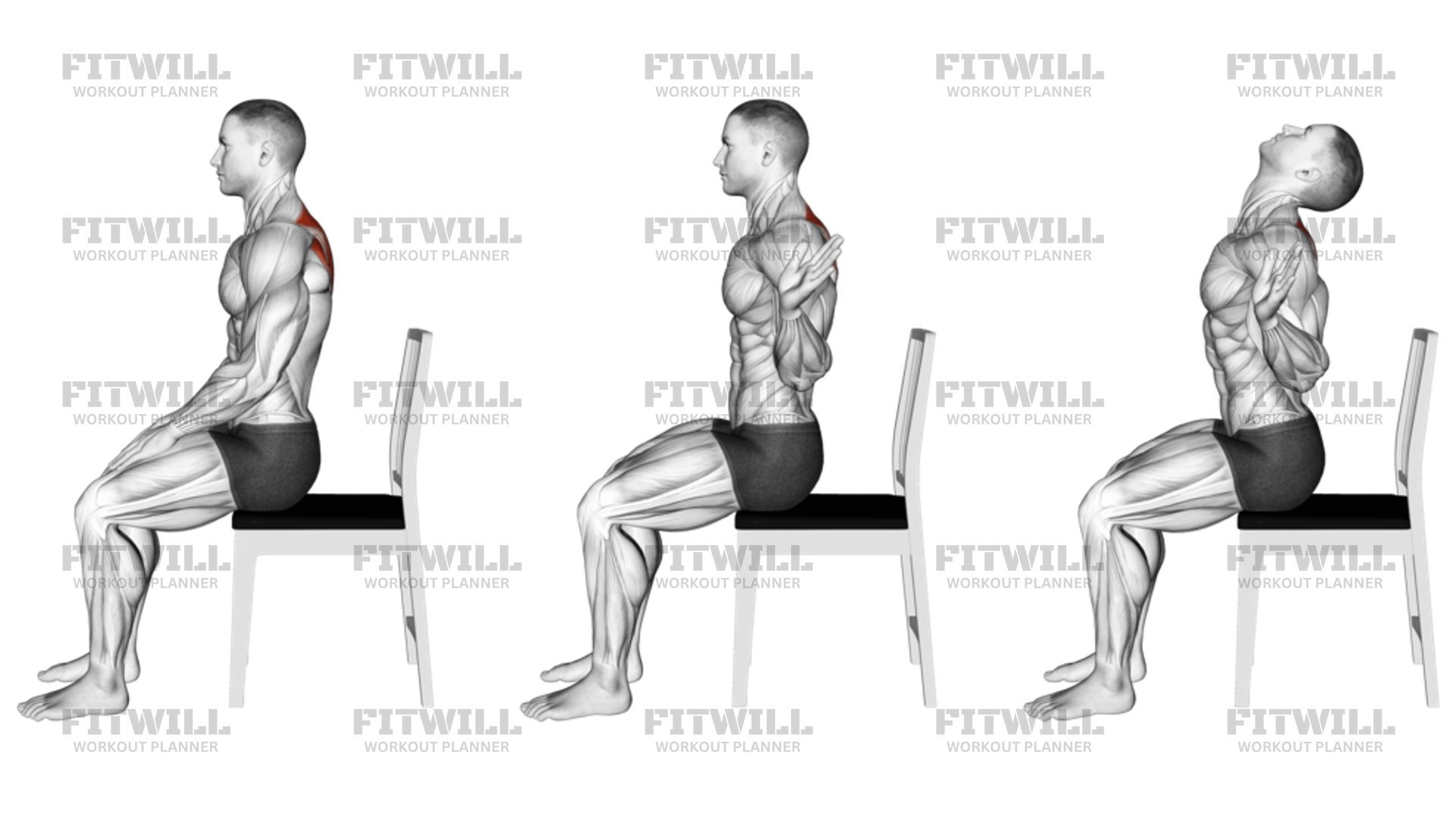 Sitting Scapular Adduction (VERSION 2): Exercise Guide, Video ...