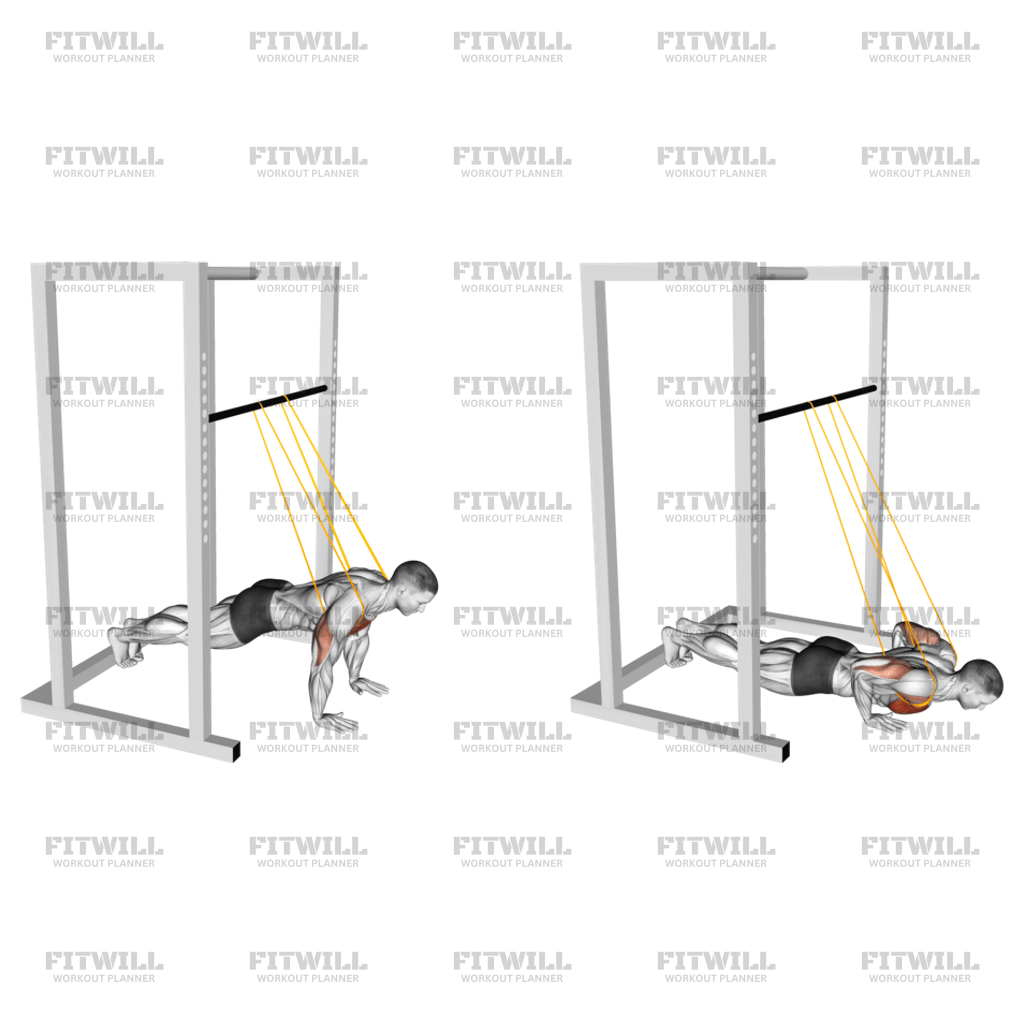 Resistance Band Assisted Push-up: Exercise Guide, Techniques, Benefits ...