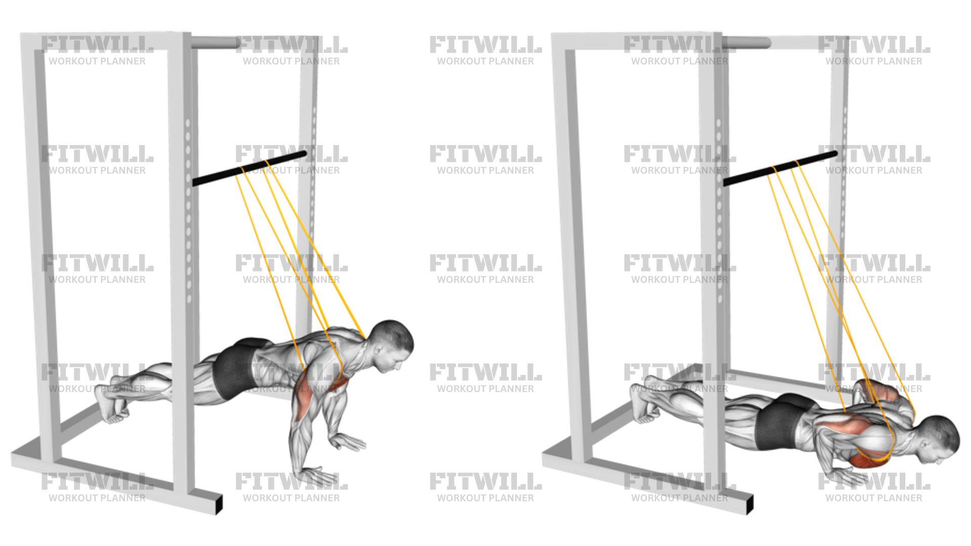 Resistance Band Assisted Push-up: Exercise Guide, Techniques, Benefits ...