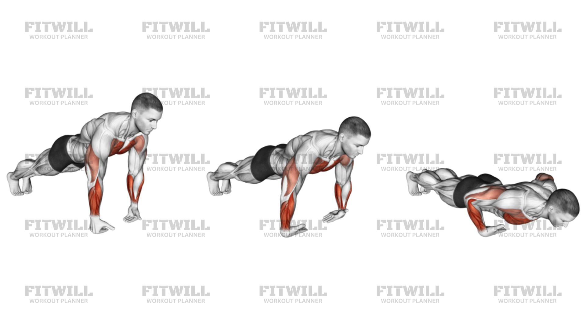 Flexión Completa Con Muñecas: Guía de Ejercicios, Técnicas, Beneficios ...