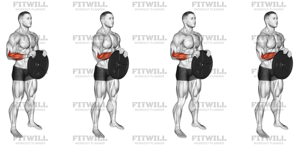 Weighted Plate Standing Hands Torsion: Exercise Guide, Video ...
