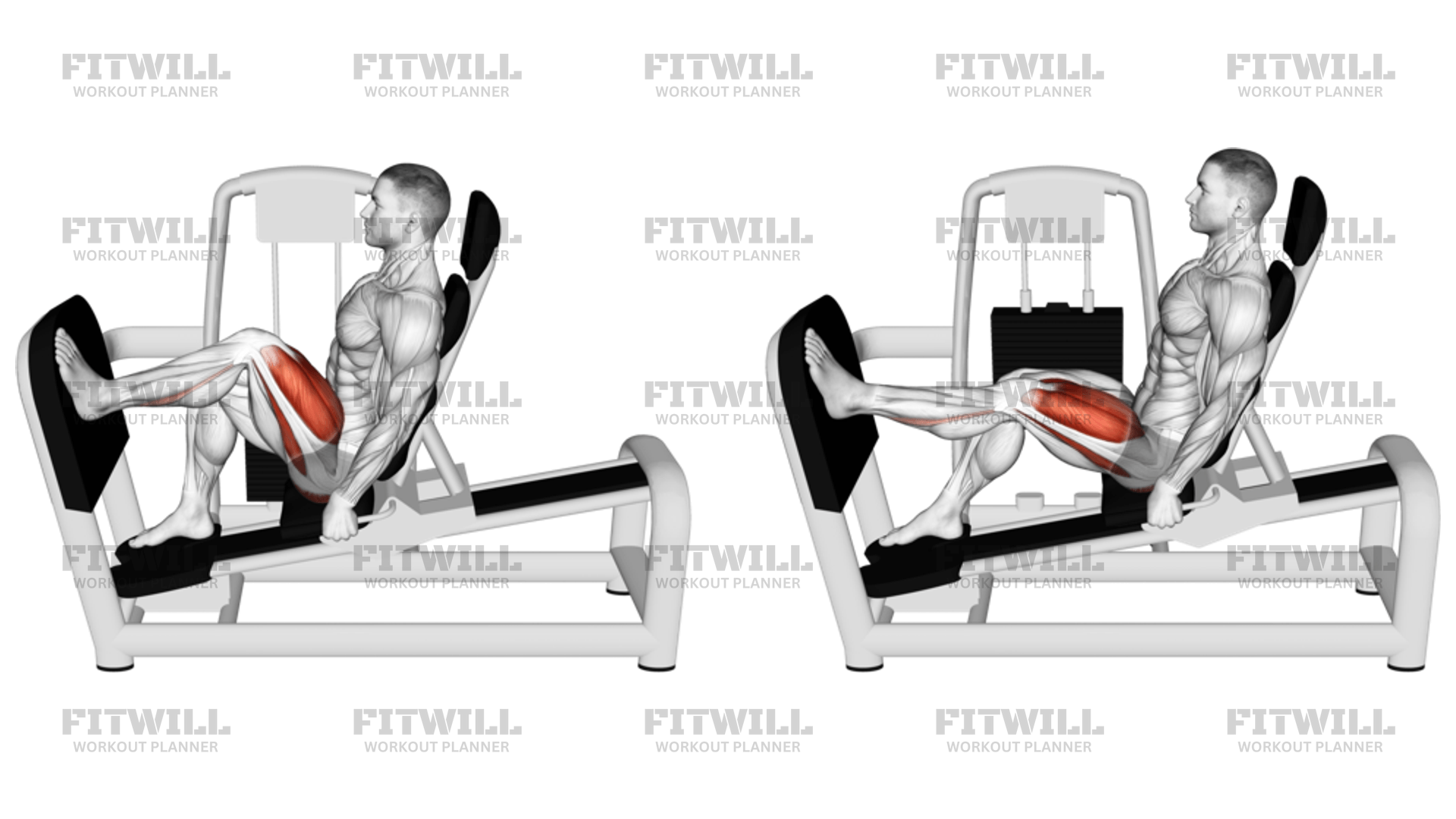 Lever Seated Single Leg Press (VERSION 2): Exercise Guide, Video ...