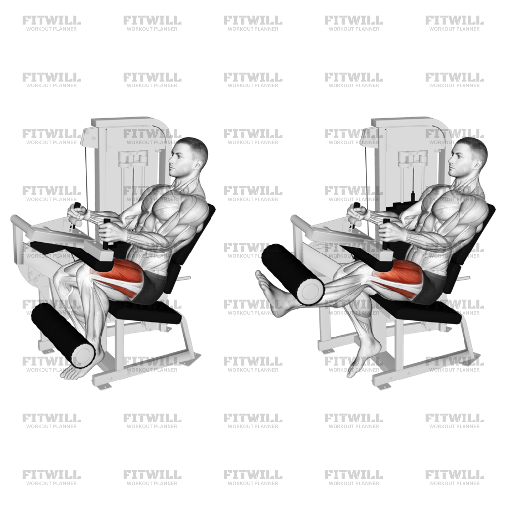Lever Seated Leg Extension (VERSION 2): Exercise Guide, Video ...