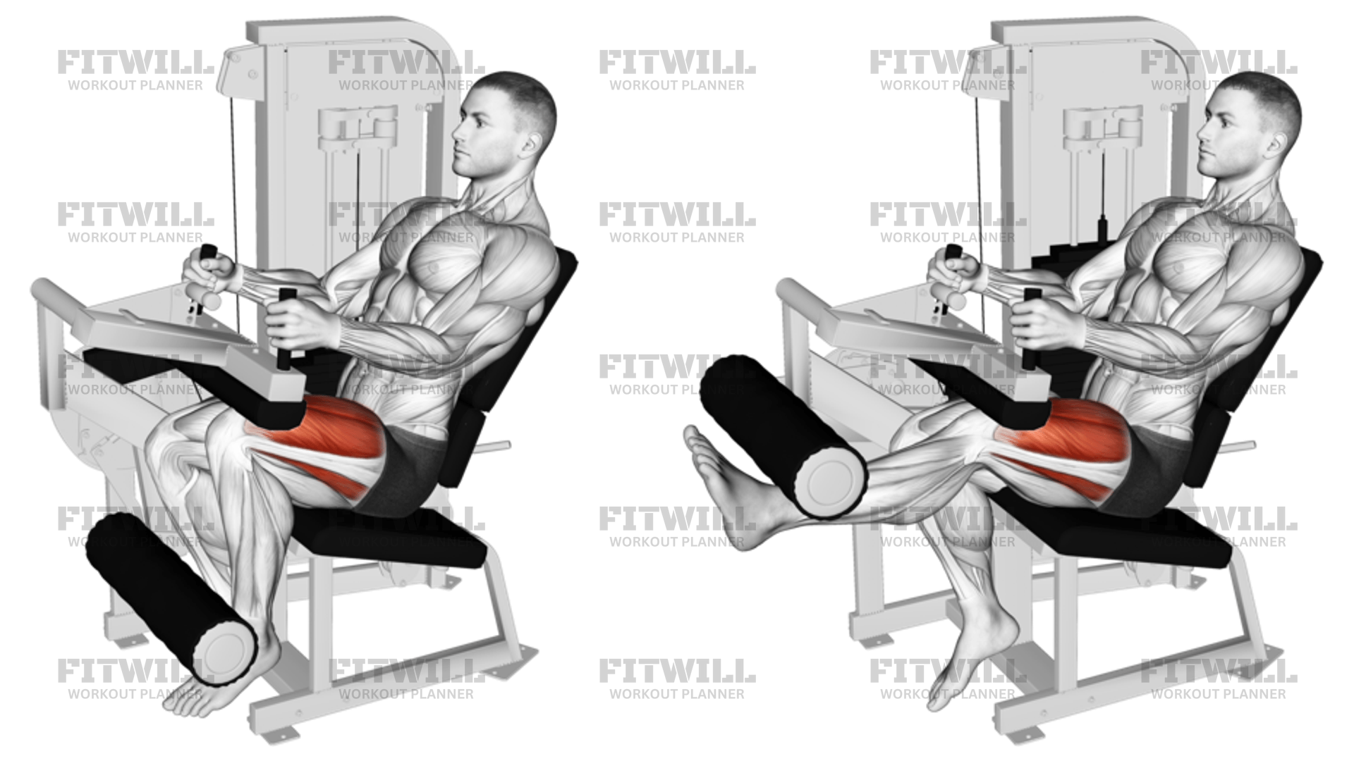 Lever Seated Leg Extension (VERSION 2): Exercise Guide, Video, Techniques, Benefits, How to ...