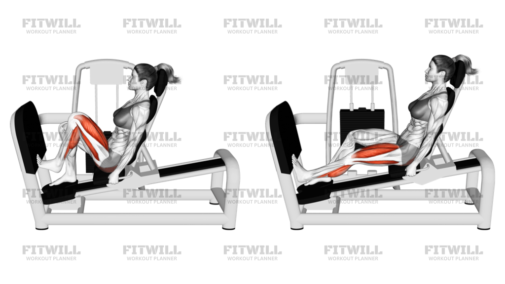 Lever Seated Single Leg Squat Calf Raise On Leg Press Machine: Exercise ...