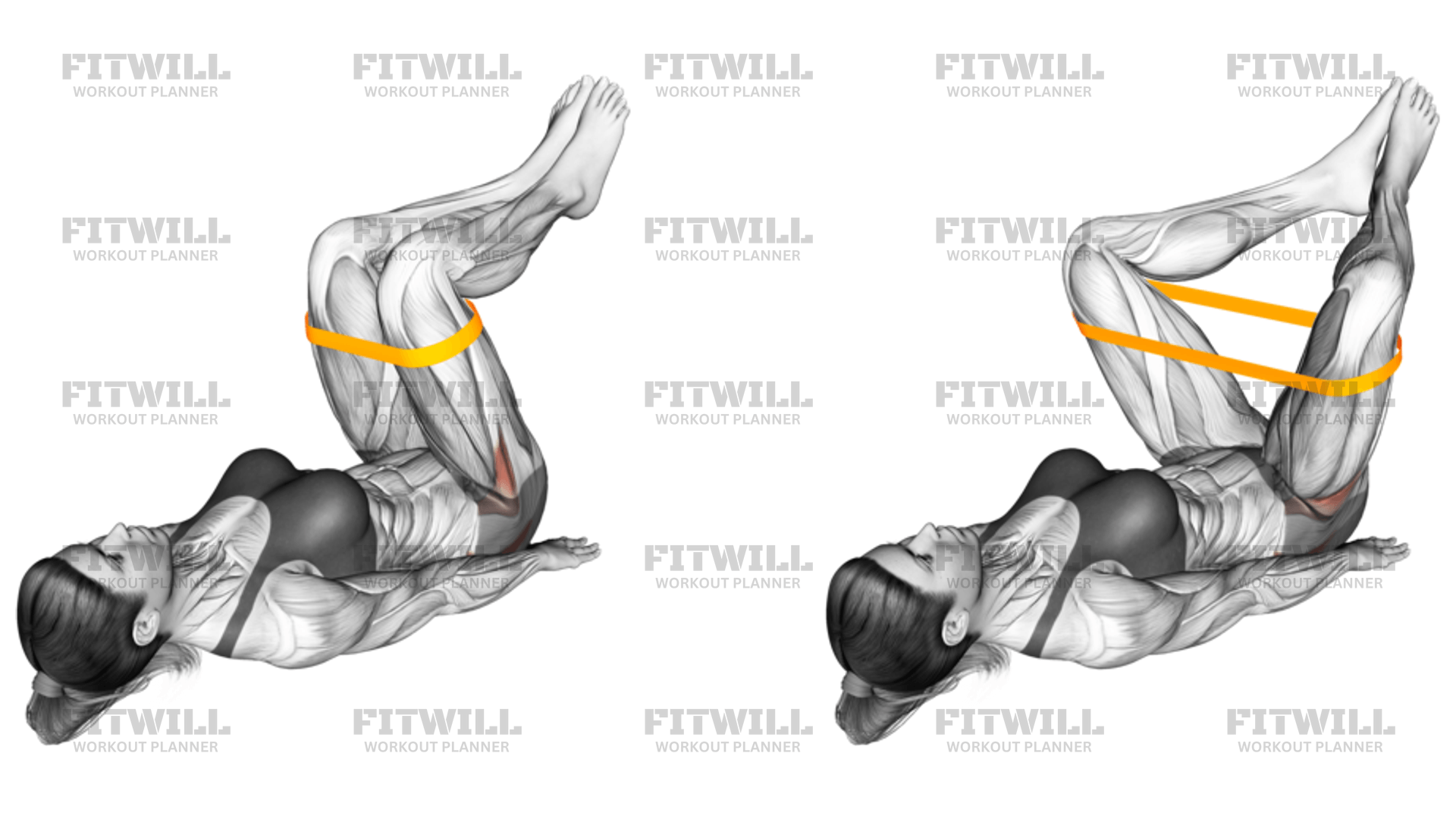 Resistance Band Lying Bent Knee Hip Abduction: Exercise Guide, Video ...