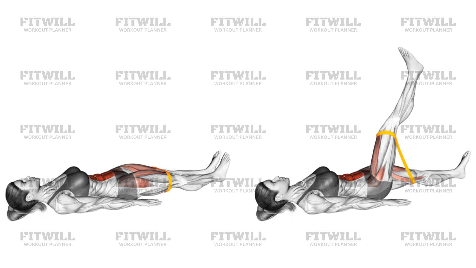 Resistance Band Lying Leg Raise: Exercise Guide, Video, Techniques ...