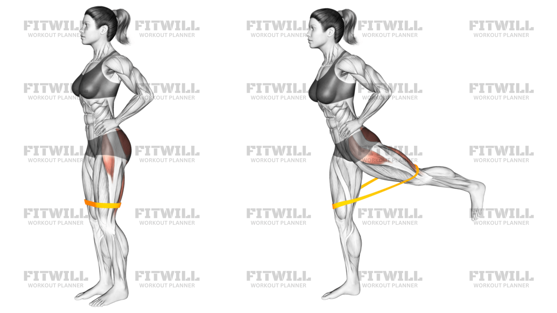 Resistance Band Standing Balance Glute Kickback Version 2 Guide Techniques Benefits How To