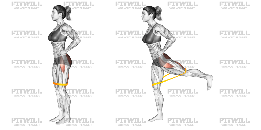 Resistance Band Standing Balance Glute Kickback (VERSION 2): Exercise ...