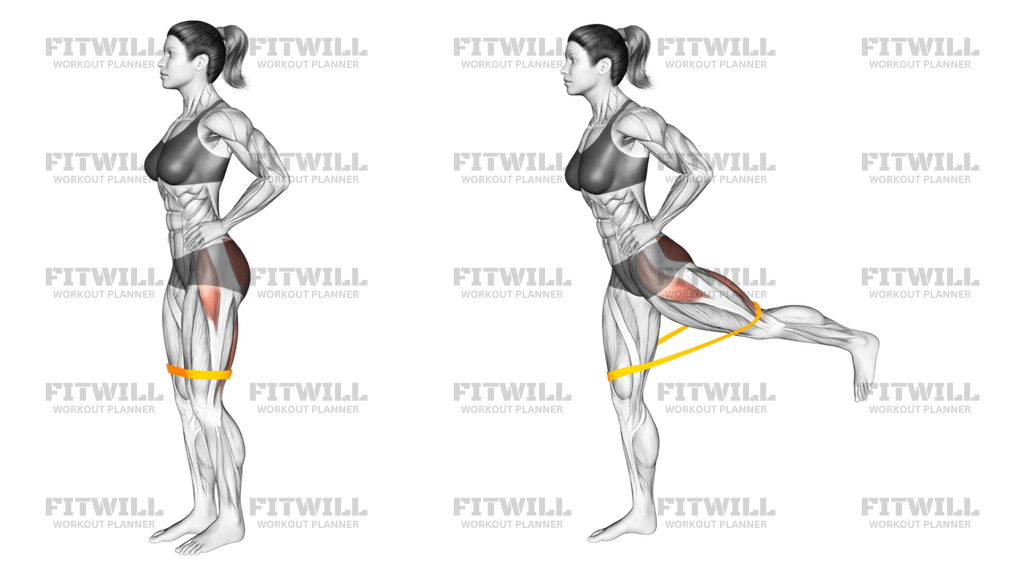 Resistance Band Standing Balance Glute Kickback Version 2: Exercise ...