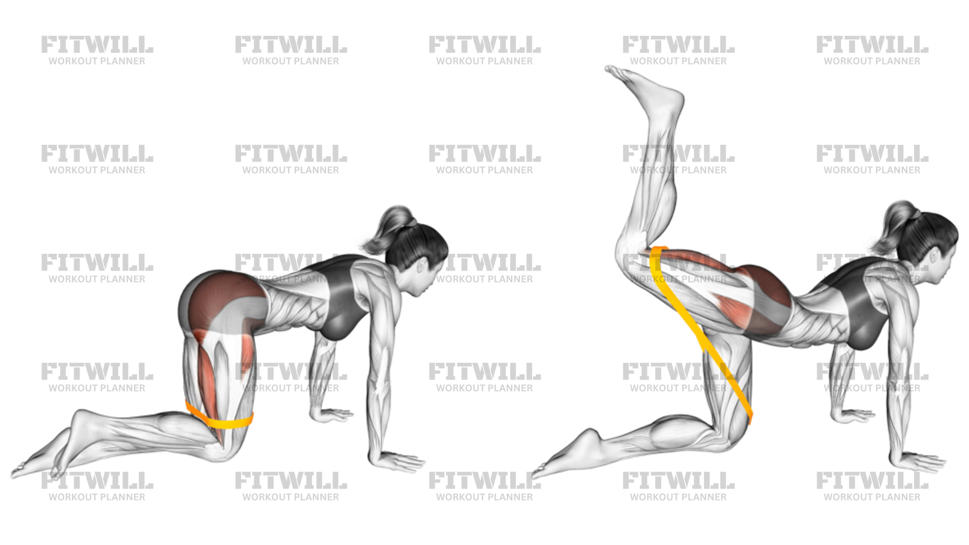 Patada Hacia Atrás De Rodillas Con Banda De Resistencia: Guía de ...