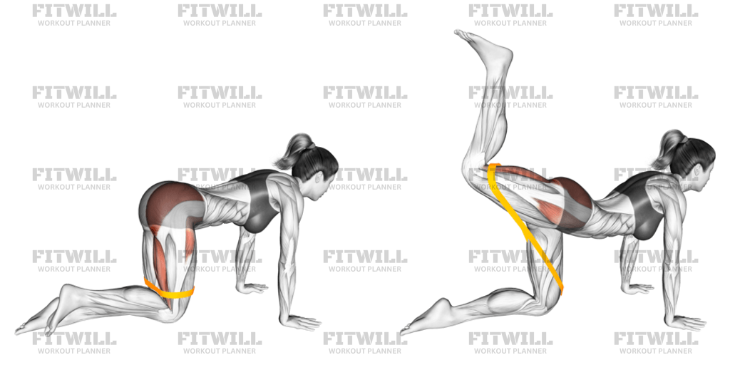 Resistance Band Kneeling Back Kick: Exercise Guide, Video, Techniques ...