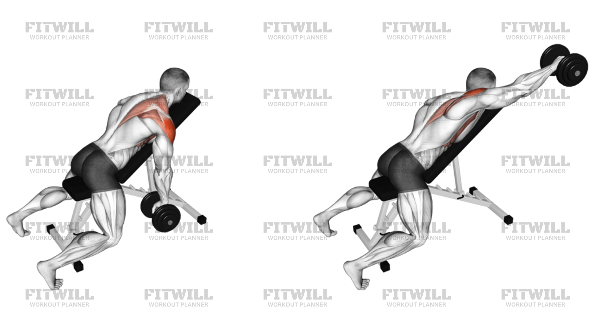 Dumbbell Incline Single Arm Y Raise: Exercise Guide, Video, Techniques ...