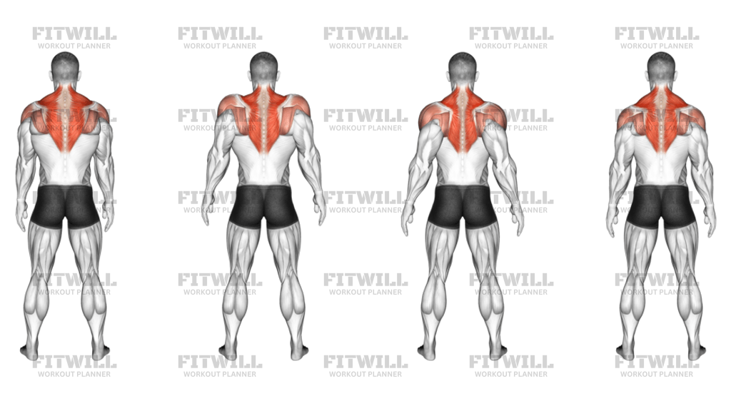 How to do Standing Scapular Rotation: Techniques, Benefits, Tips ...