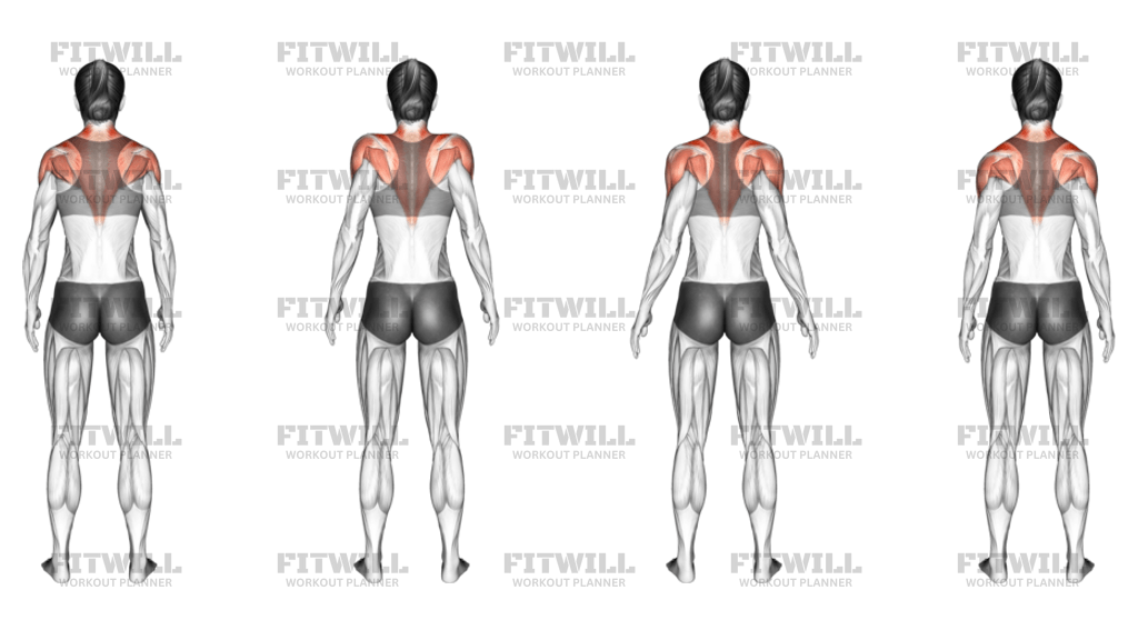 Standing Scapular Rotation: Exercise Guide, Video, Techniques, Benefits ...