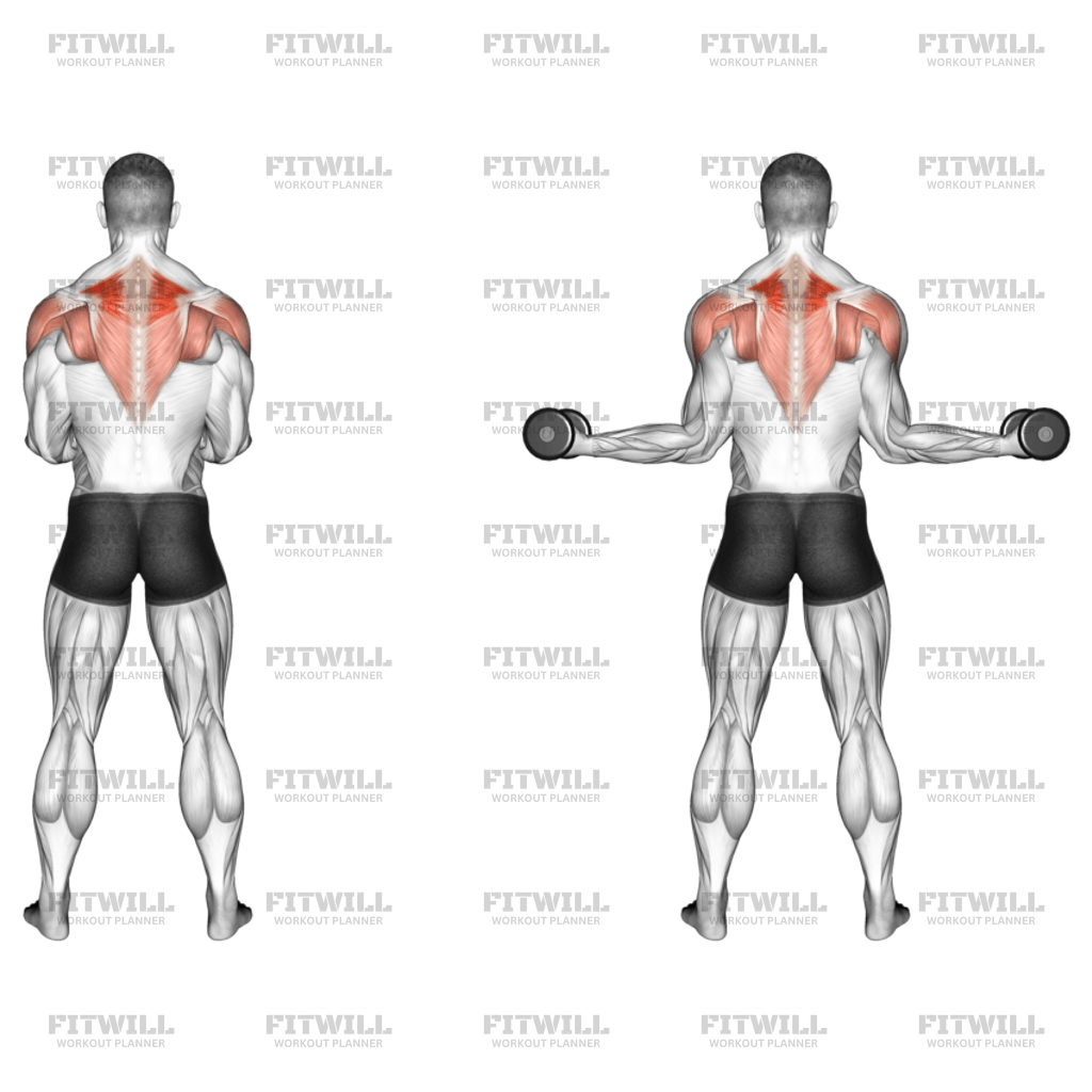 Dumbbell Standing Scapular External Rotation: Exercise Guide, Video ...