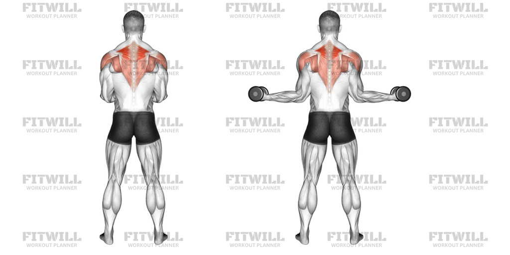 Dumbbell Standing Scapular External Rotation: Exercise Guide, Video ...