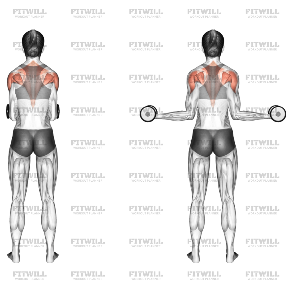 Dumbbell Standing Scapular External Rotation Exercise Guide Video Techniques Benefits How