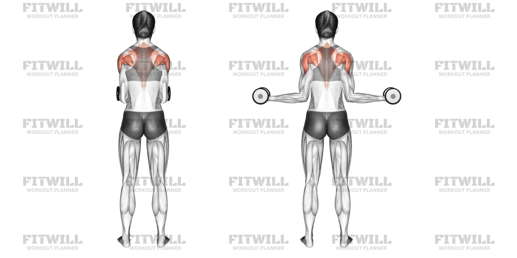 Dumbbell Standing Scapular External Rotation: Exercise Guide, Video ...